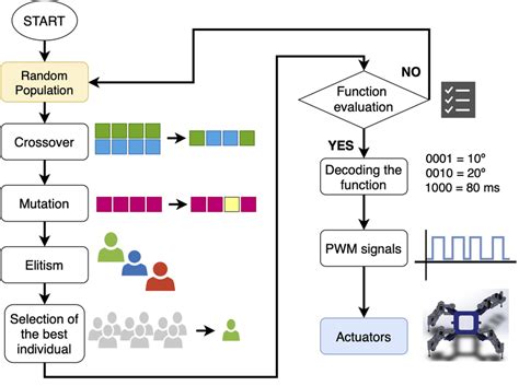 standard genetic algorithm flowchart for the robot s locomotion download scientific diagram