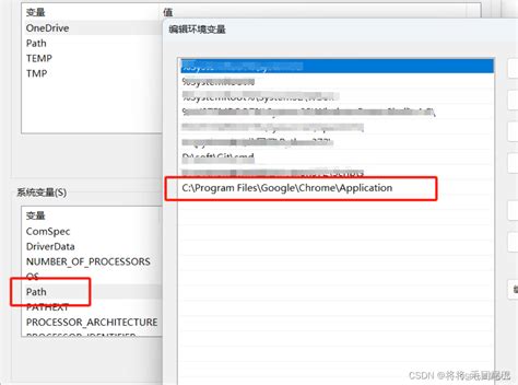 selenium 安装chrome驱动 selenium 谷歌驱动 csdn博客
