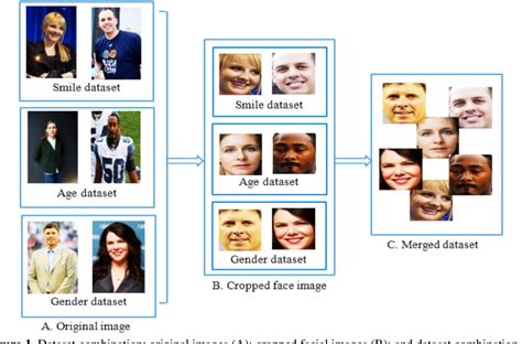 figure 1 from deep multi task convolutional neural networks for efficient classification of face