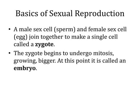 Ppt Reproduction Powerpoint Presentation Free Download Id1964650