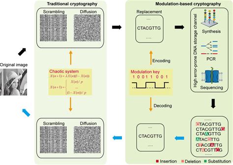 schematic diagram of the encryption and decryption processes the left download scientific