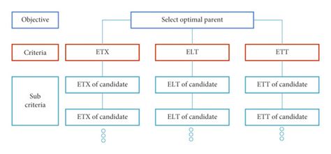 structure of multicriteria ranking according to fahp algorithm download scientific diagram