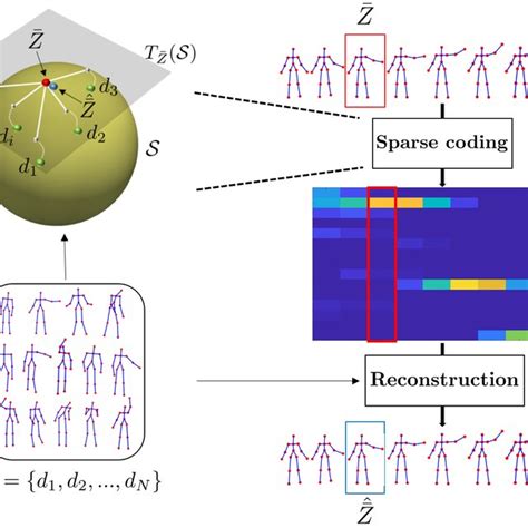 illustration of intrinsic sparse coding in the kendall s shape space download scientific
