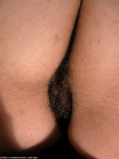 Hairy Teen Pussy Fucked Ah Me Hairy Pussy Pictures Of Asian Women