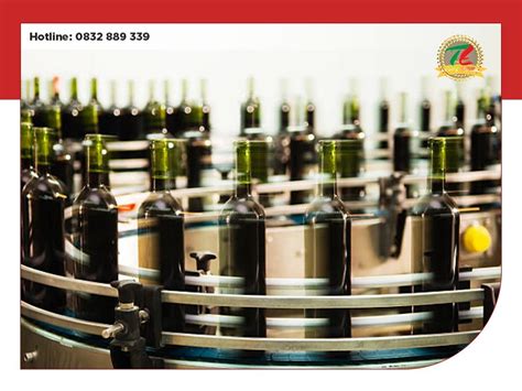 Quy trình sản xuất rượu vang Từ trái nho đến chai rượu