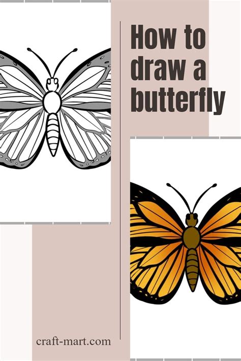 How To Draw A Butterfly Step By Step Easy And Fast Artofit