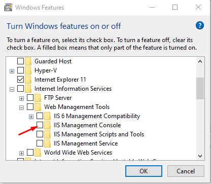 Visual Studio Asp Net Core Web Api Work On Iis Express But Not