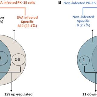 PIWI Interacting RNA PiRNA Differential Expression Analysis A Venn