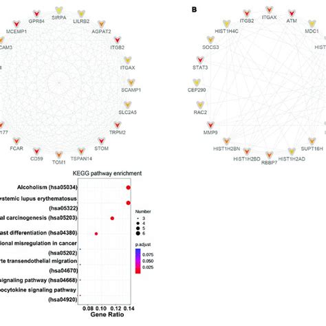 identification of hub genes cytohubba in cytoscape v3 7 2 was used download scientific