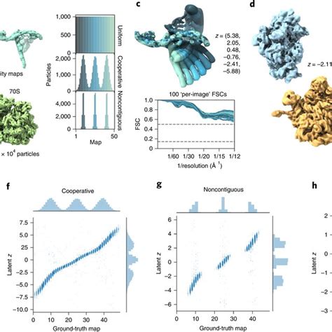 the cryodrgn method for heterogeneous single particle cryo em download scientific diagram
