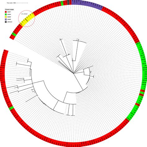 frontiers application of a core genome sequence typing cgmlst pipeline for surveillance of