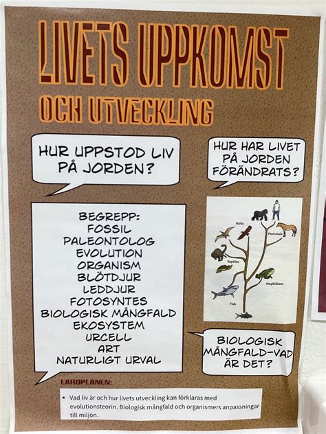 Skolbanken Livets Uppkomst Och Utveckling