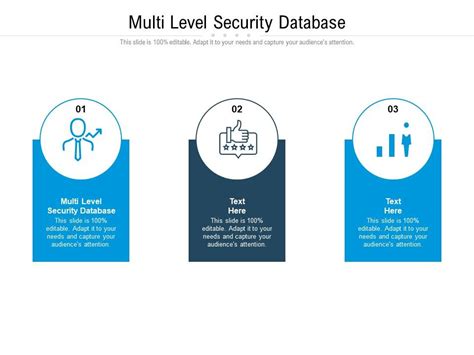 multi level security database ppt powerpoint presentation file template cpb presentation