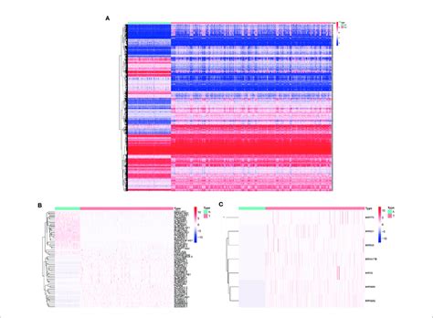 Heatmap With Prognostic Differentially Expressed Genes DEGs A DE