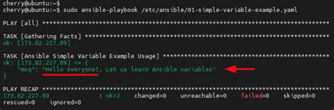 how to use variables in ansible playbooks cherry servers