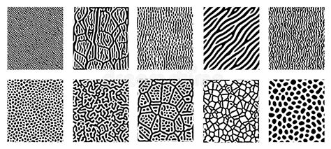 reaction diffusion system visualization of turing patterns nature of sound vector concept