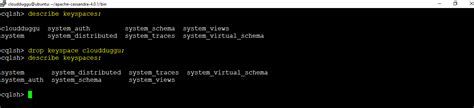 cassandra drop keyspace cloudduggu cloudduggu