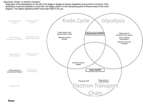 Osmosis Vs Diffusion Venn Diagram
