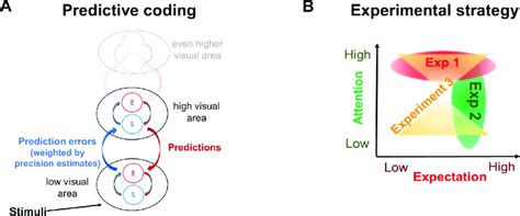 theoretical background and experimental strategy a the predictive download scientific