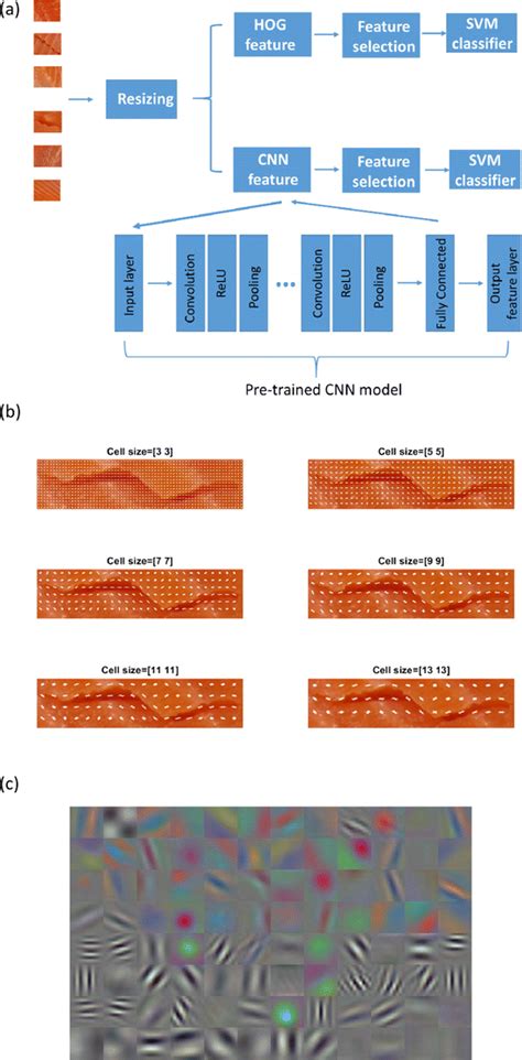 description of hog and cnn feature extraction a basic steps for hog download scientific