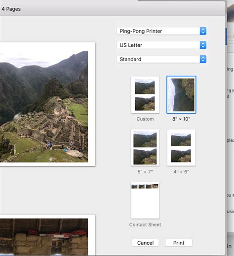 Print Multiple Pictures On One Page Calgarystoun