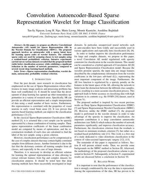 pdf convolution autoencoder based sparse representation wavelet for image classification