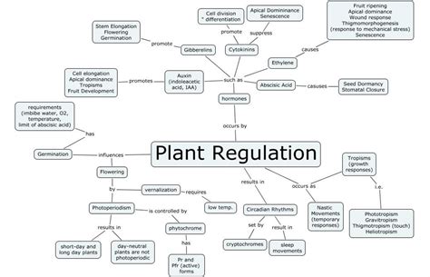 Mind Map Lesson Science State Board Class 10