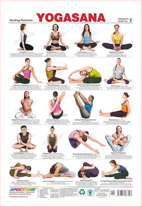 Different Types Of Yoga Asanas In Hindi