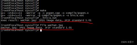 popen 函数的使用，获取不到执行结果 popen函数输出结果读不到 csdn博客