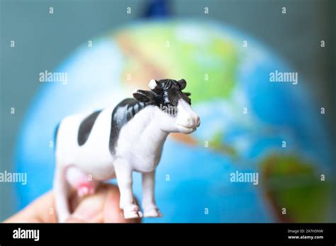 Plastic Toy Cow In Front Of World Model Background Cows Breeding And Co2 Emission Idea Concept