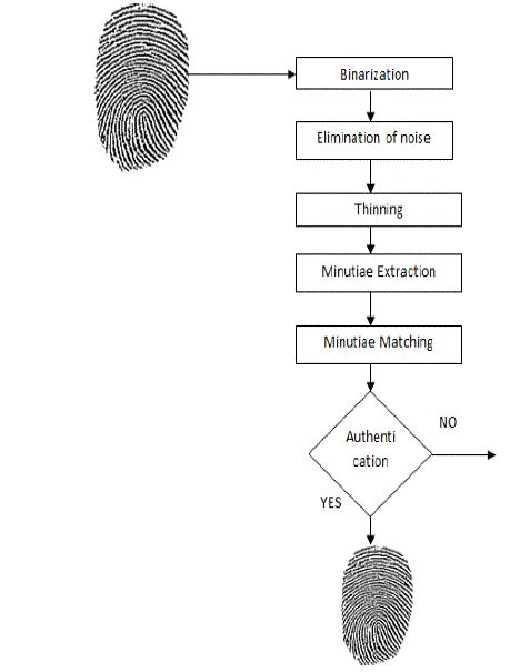 personal authentication using fingerprint biometric system open access journals