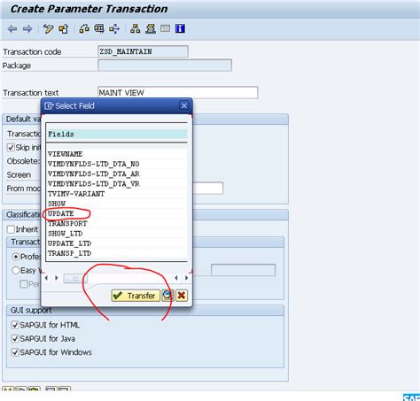Creating Transaction Code For Maintenance View Update Mode