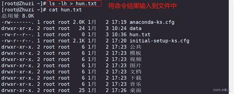 shell脚本——编程规范与echo命令 shell echo csdn博客