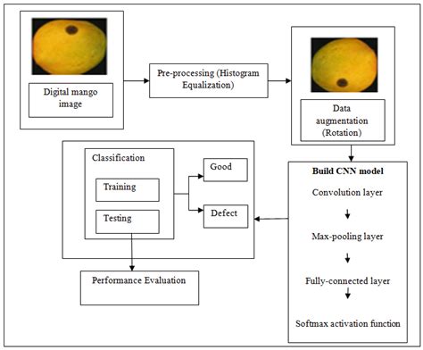 foods free full text computer vision system for mango fruit defect detection using deep