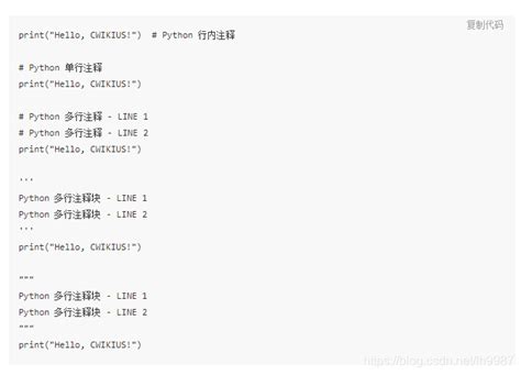 详细介绍一下python 注释 python的注释 csdn博客