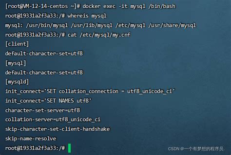 linux下使用docker安装mysql linux系统使用docker按照mysql csdn博客