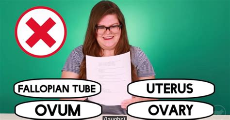Women Take A Middle School Sex Ed Quiz Reveal America Is A Terrible Teacher Huffpost Women