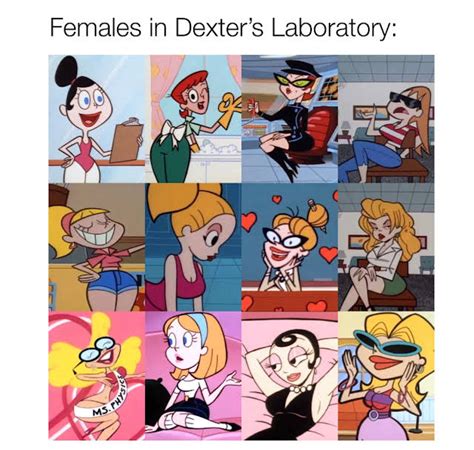 The Females In Dexters Laboratory By Invaderzim32 On Deviantart