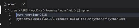 Cannot Find Module C Node Gyp Bin Node Gyp Js Issue 2381