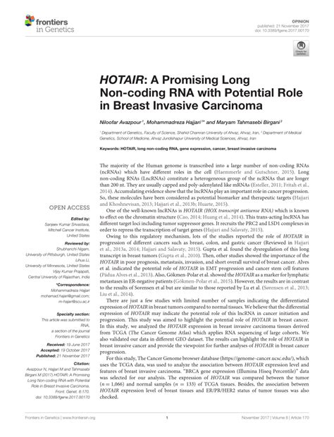 PDF HOTAIR A Promising Long Non Coding RNA With Potential Role In