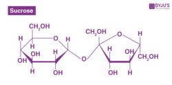 Disaccharides Definition Function Structure Examples