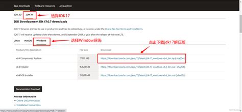 jdk8 1 8 和jdk17从下载到配置环境变量保姆级教程 jdk17环境变量设置 csdn博客