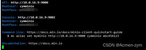 linux系统下安装minio并设置ssl证书进行远程连接访问 minio ssl csdn博客