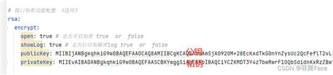 springboot 接口加密 rsa encrypt body spring boot指定哪些接口加密那些不加密 csdn博客