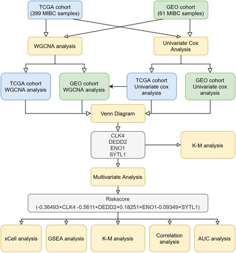 workflow of bioinformatics analysis download scientific diagram