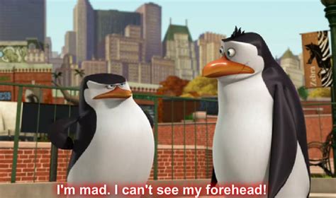 I´m Mad Xd Penguins Of Madagascar Photo 37572859 Fanpop