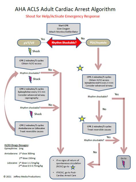 Asystole And Its Treatment ACLS Algorithms