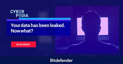 What Are Data Breaches Bitdefender Cyberpedia