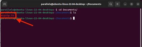 How To Extract 7Z Files In Linux 4 Methods