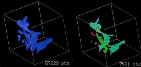 3d skeletonization volume thinning vizlab